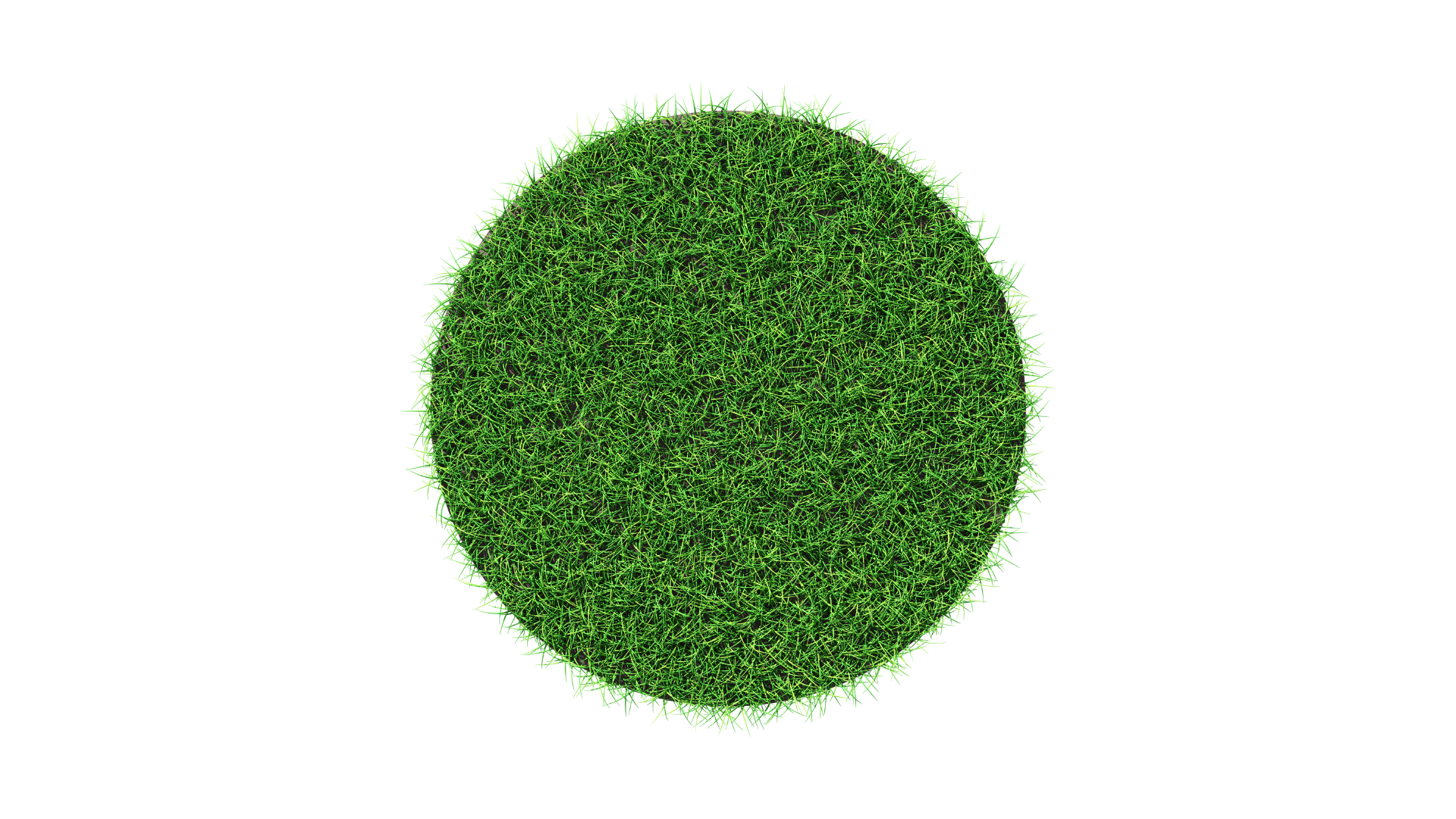 Comment choisir son gazon artificiel ? - Blog TGS Gazon Synthétique